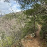 Riprap Trail , Virginia - 1,534 Reviews, Map | AllTrails