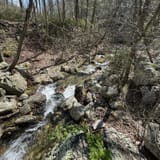Riprap Trail , Virginia - 1,546 Reviews, Map | AllTrails