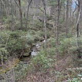 Riprap Trail , Virginia - 1,546 Reviews, Map | AllTrails