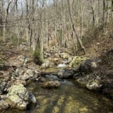 Riprap Trail , Virginia - 1,546 Reviews, Map | AllTrails