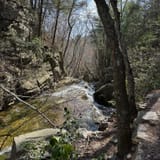 Riprap Trail , Virginia - 1,546 Reviews, Map | AllTrails