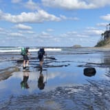 Murramarang South Coast Walk, New South Wales, Australia - 108 Reviews ...