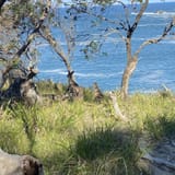 Murramarang South Coast Walk, New South Wales, Australia - 108 Reviews ...
