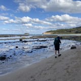 Murramarang South Coast Walk, New South Wales, Australia - 108 Reviews ...