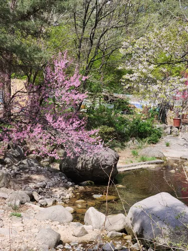 Best Moderate Trails in Gangbuk-gu | AllTrails