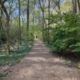 Glover-Archbold Trail, District of Columbia - 488 Reviews, Map | AllTrails