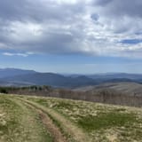 Max Patch Loop, North Carolina - 2,171 Reviews, Map | AllTrails