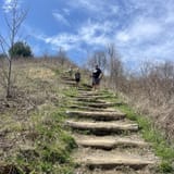 Max Patch Loop, North Carolina - 2,171 Reviews, Map | AllTrails