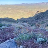 Picketpost Mountain Trail, Arizona - 2,302 Reviews, Map | AllTrails
