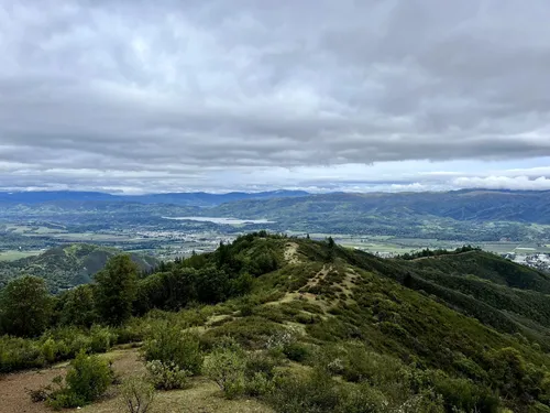 Best Forest Trails in Ukiah | AllTrails