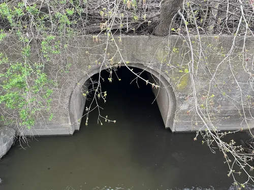 Best Hikes and Trails in Cuba Marsh Forest Preserve | AllTrails