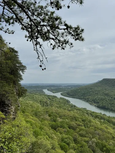 Best Hard Trails in Prentice Cooper State Forest | AllTrails