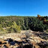 Sandys Canyon Trail, Arizona - 1,201 Reviews, Map | AllTrails