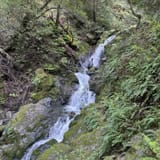 Cataract Falls Trail, California - 3,502 Reviews, Map | AllTrails