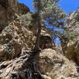 Hidden Falls, Utah - 799 Reviews, Map | AllTrails
