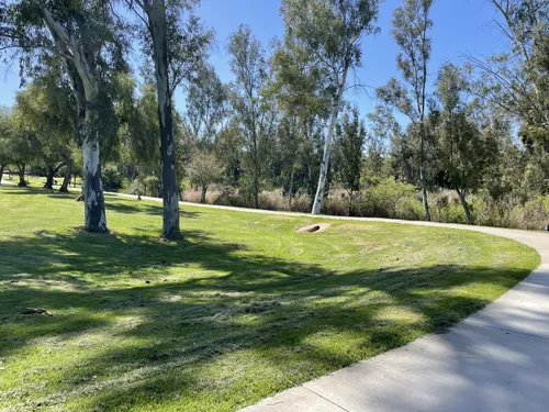 Best Hikes and Trails in Kit Carson Park | AllTrails