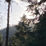 Mount Kit Carson Loop Road, Trail 140 and Trail 110 Loop, Washington ...