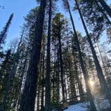 Mount Kit Carson Loop Road, Trail 140 and Trail 110 Loop, Washington ...