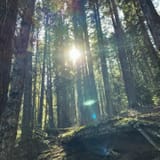 Mount Kit Carson Loop Road, Trail 140 and Trail 110 Loop, Washington ...