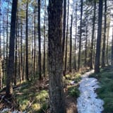 Mount Kit Carson Loop Road, Trail 140 and Trail 110 Loop, Washington ...