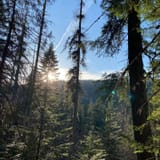 Mount Kit Carson Loop Road, Trail 140 and Trail 110 Loop, Washington ...