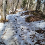 Scout Ridge Trail, Alaska - 280 Reviews, Map | AllTrails