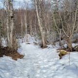 Scout Ridge Trail, Alaska - 280 Reviews, Map | AllTrails