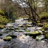 Longdendale Trail Circular, Derbyshire, England - 167 Reviews, Map ...