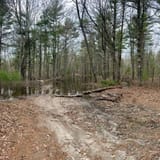 Bioreserve Land and Freetown Fall River Loop, Massachusetts - 71 ...