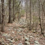 Bioreserve Land and Freetown Fall River Loop, Massachusetts - 55 ...