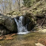 Cascade Falls Loop Trail, Maryland - 2,748 Reviews, Map | AllTrails