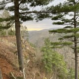 Turkey Path, Pennsylvania - 683 Reviews, Map | AllTrails