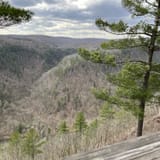 Turkey Path, Pennsylvania - 615 Reviews, Map | AllTrails