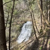 Turkey Path, Pennsylvania - 663 Reviews, Map | AllTrails