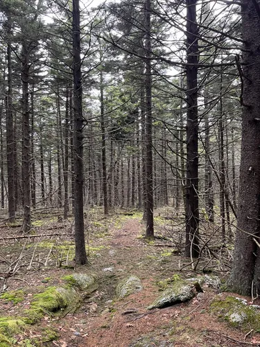 Best Hikes and Trails in Watatic Mountain Wildlife Sanctuary | AllTrails