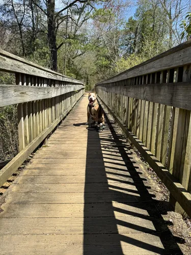 Best Walking Trails in Parvin State Park | AllTrails