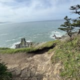 Cape Falcon Trail, Oregon - 3,747 Reviews, Map | AllTrails