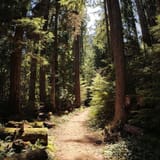 Skookum Flats Trail, Washington - 1,007 Reviews, Map | AllTrails