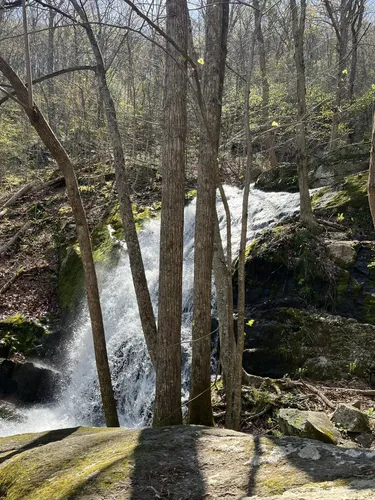 Best Walking Trails in Montebello | AllTrails