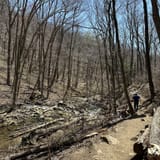 Rose River Trail, Virginia - 4,538 Reviews, Map | AllTrails