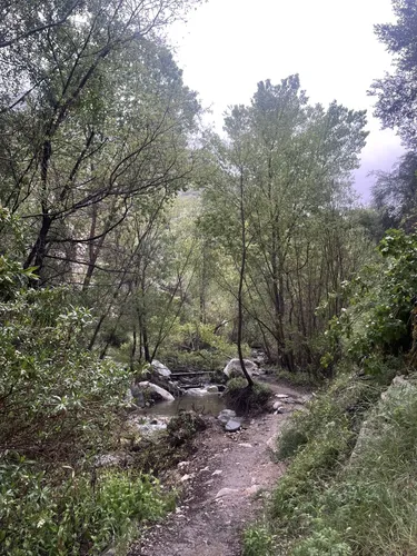 Best Backpacking Trails in Sunland-Tujunga | AllTrails