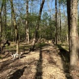 Peewah Trail (Red Loop), Missouri - 250 Reviews, Map | AllTrails