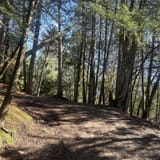 Heber Down Conservation Area Trail, Ontario, Canada - 633 Reviews, Map ...