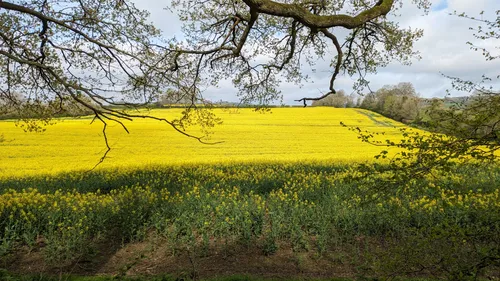 Best Historic Site Trails in Godstone | AllTrails