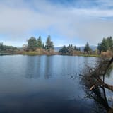 Spring Lake Loop, California - 1,564 Reviews, Map | AllTrails