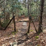 Massie Gap and Wilburn Ridge Loop, Virginia - 857 Reviews, Map | AllTrails
