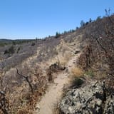 Ute Valley Park Loop Trail, Colorado - 2,667 Reviews, Map | AllTrails