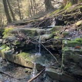 IBM Glen Loop, New York - 866 Reviews, Map | AllTrails