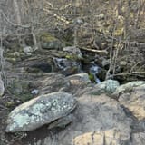 Lewis Spring Falls Trail, Virginia - 1,426 Reviews, Map | AllTrails