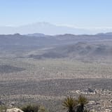 Ryan Mountain, California - 7,424 Reviews, Map | AllTrails